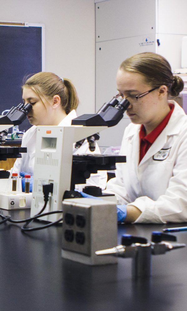 Bachelor's Degrees in Biology (BS or BA) - William Woods University ...